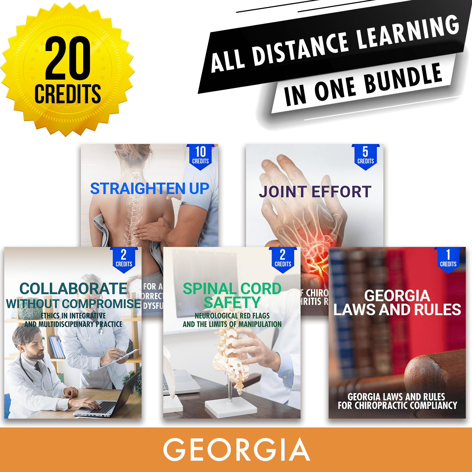 Georgia Online CE Bundle 1: *NEW FOR 2026* Independent Study Package ...